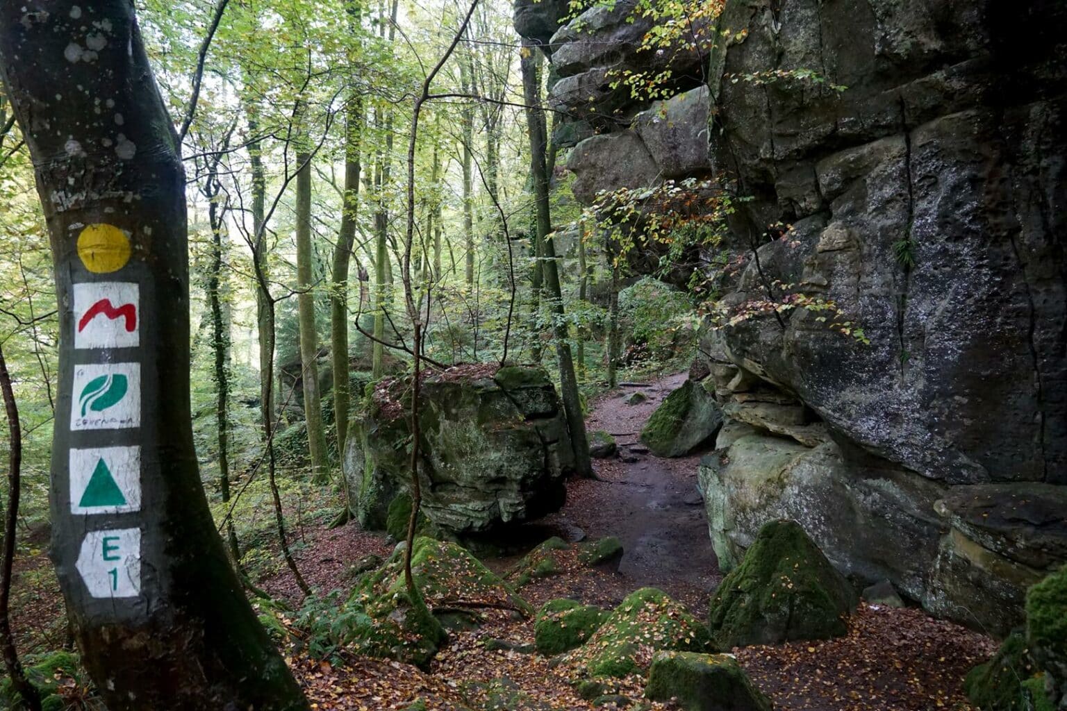 Mullerthal Trail - Mehrtagestour in Luxemburg - Etappen-Wandern